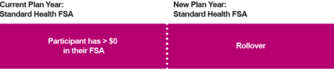 From FSA to HSA: HSA Eligibility | EBC Insights
